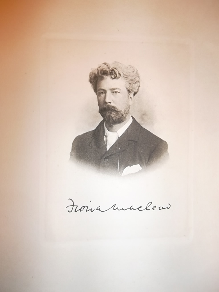 The Lonely Hunter? – The Fugitive Stag