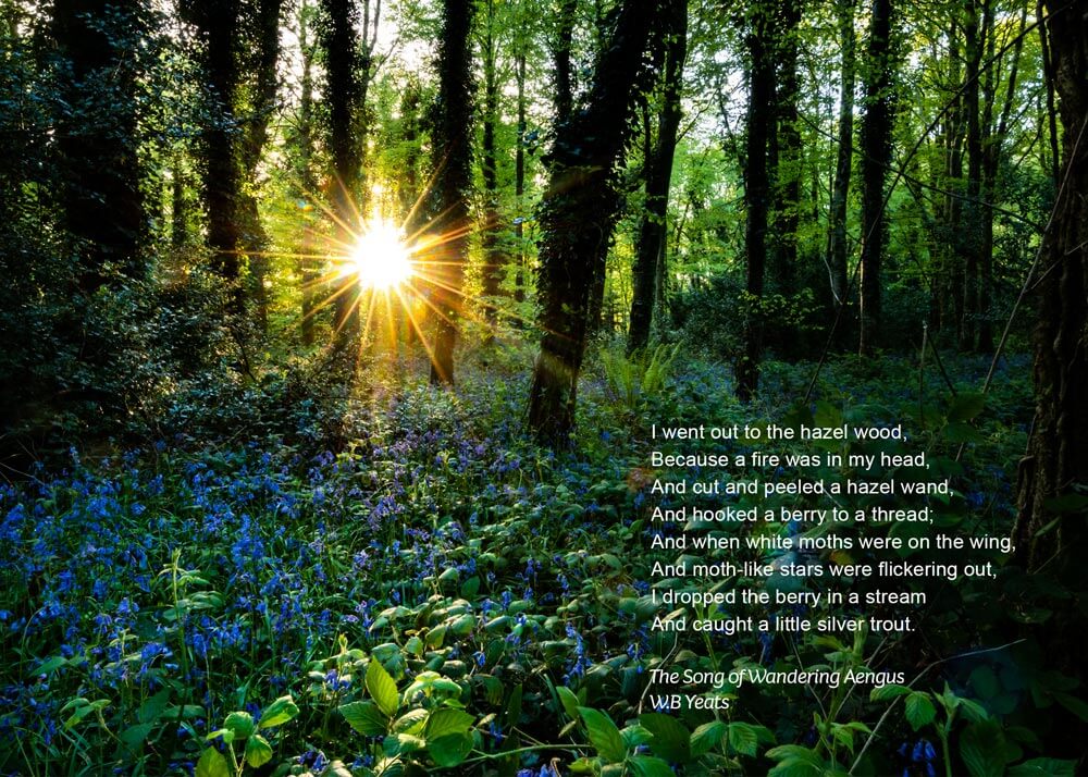 THE SONG OF WANDERING AENGUS – W. B. Yeats – The Fugitive Stag